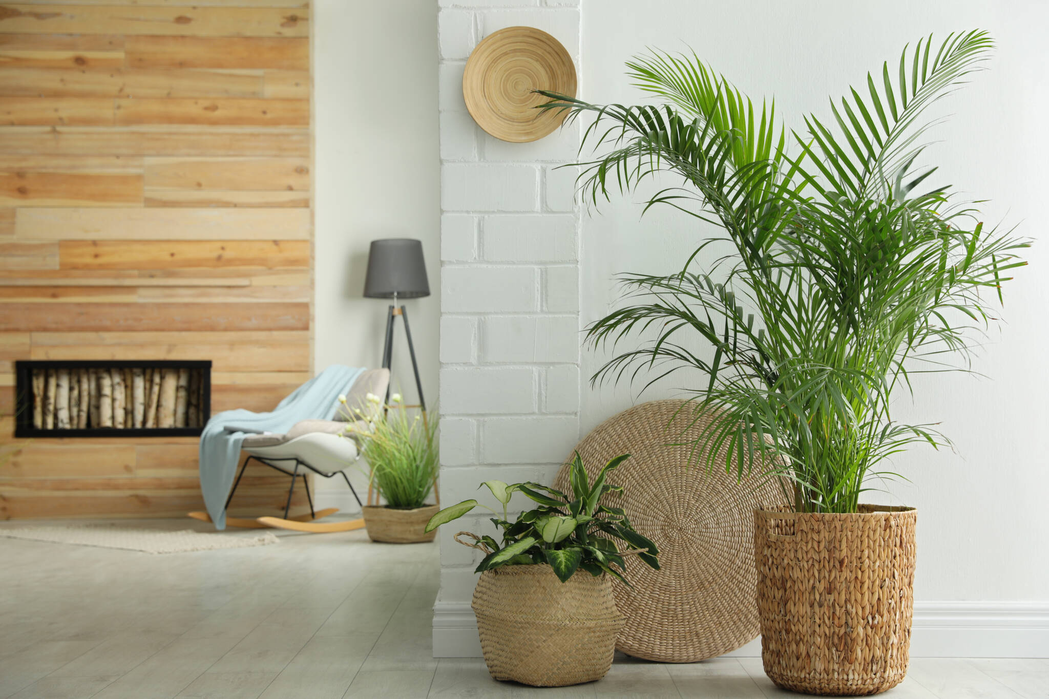 Décoration, rénovation : 4 astuces pour rendre votre maison plus verte ...